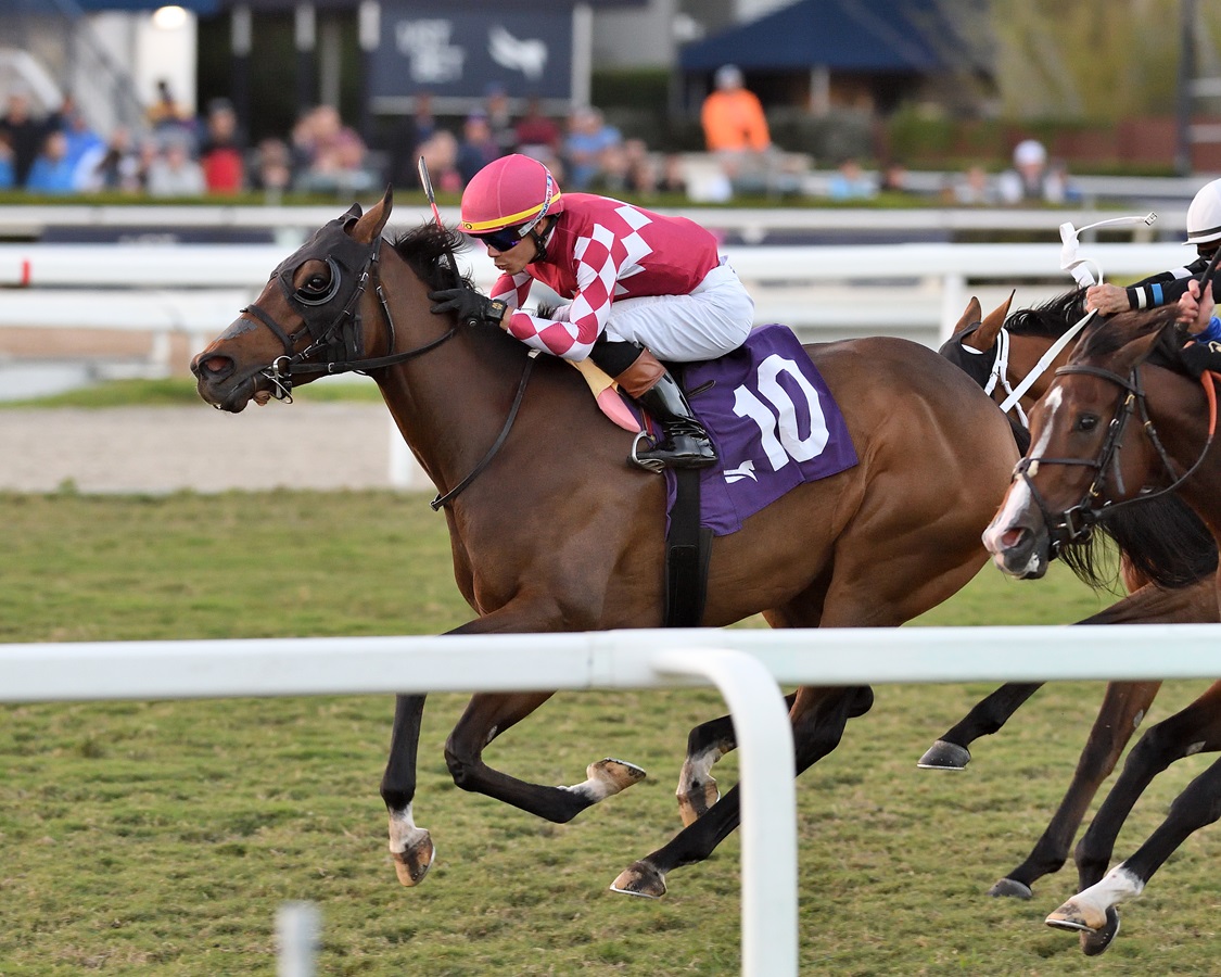 Guns Loaded y Nitrogen se llevaron los honores en Gulfstream Park | DRF ...