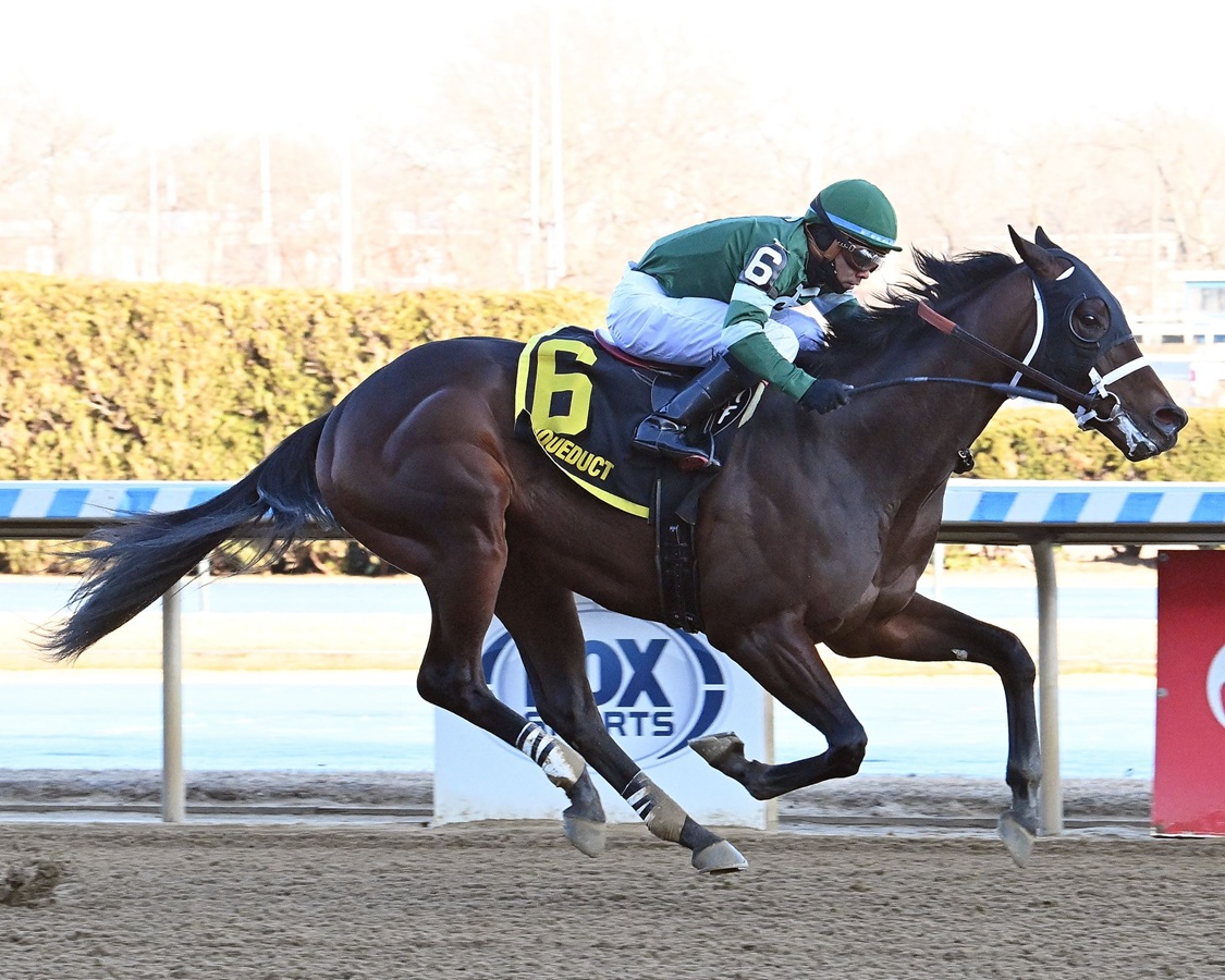 Captain Cook mostró su don de mando en el Withers Stakes | DRF en Español