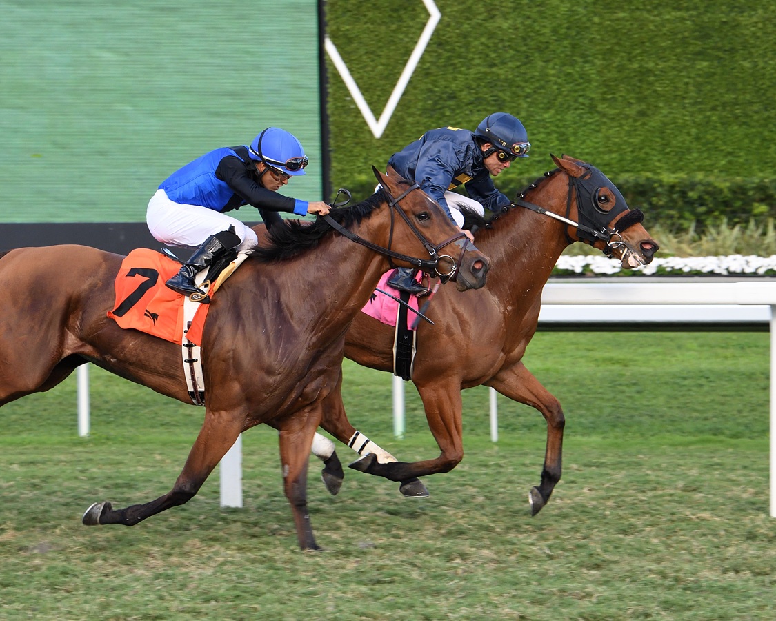 Epona´s Hope resistió para conquistar el Ladies’ Turf Sprint Stakes ...