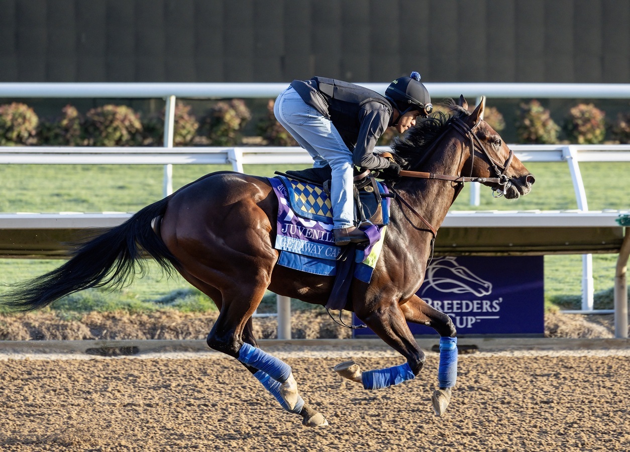 Sunland Park dice presente en el Camino al Kentucky Derby | DRF en Español