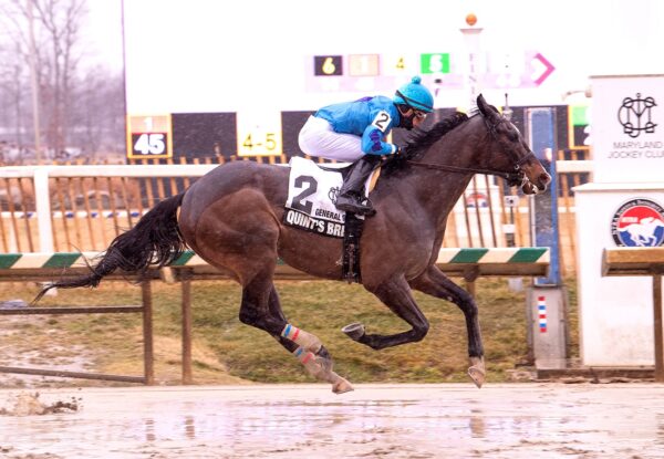 Quint´s Brew hizo sentir su autoridad en el General George Stakes | DRF ...