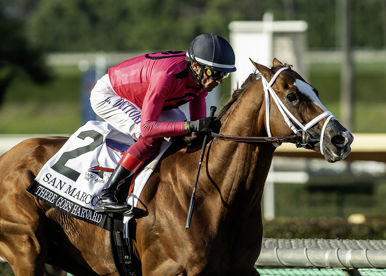 There Goes Harvard reverdeció laureles en el San Marcos G3T | DRF en ...