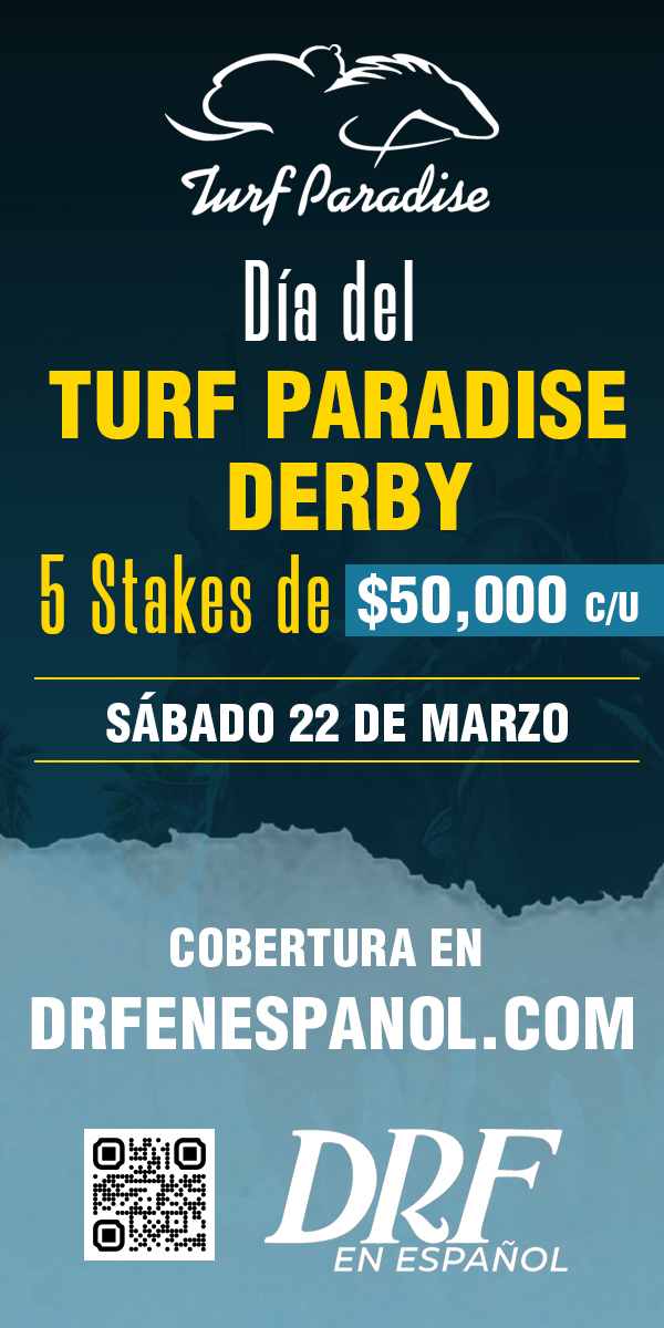 Programas de Carreras "PP's" Gratis | DRF en Español