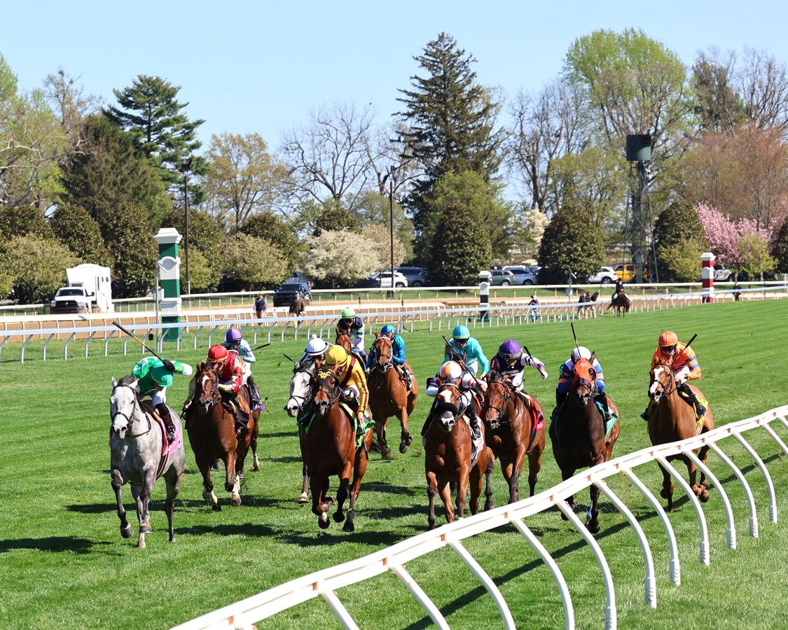 Los Stakes de Grado que vienen para el mes de Abril | DRF en Español