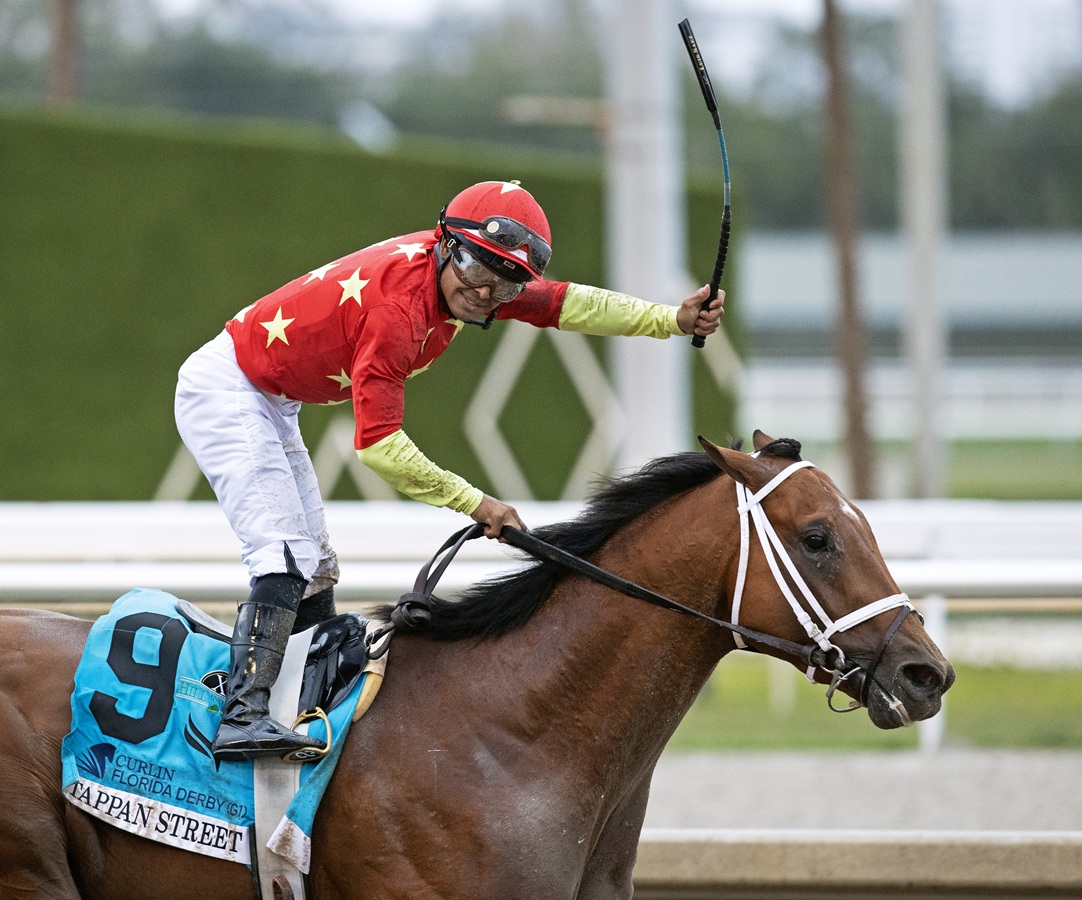 Florida Derby G1: Tappan Street encabezó la Exacta del semental Into ...
