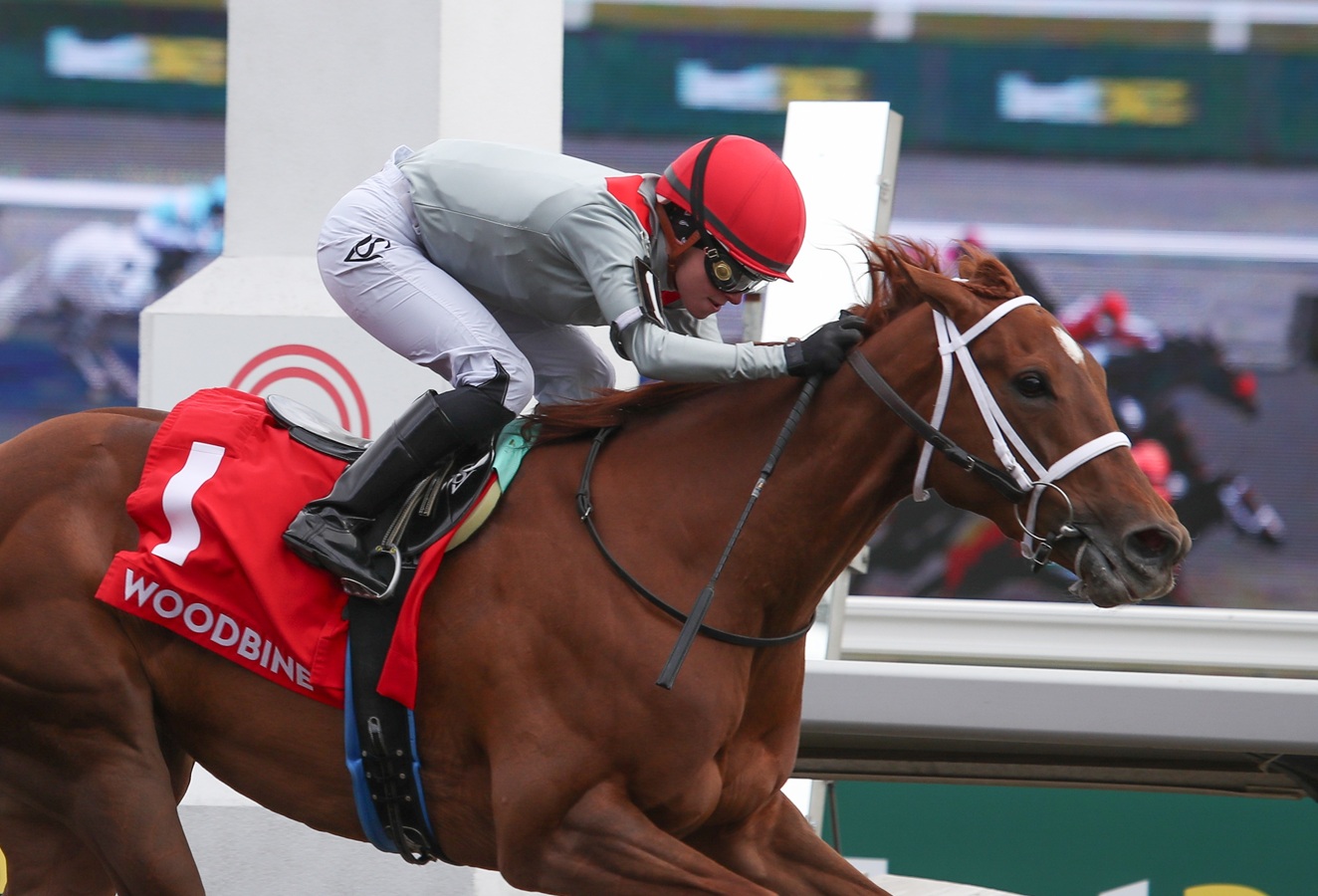 Brindi no dejó respirar a sus rivales en el Star Shoot Stakes | DRF en ...