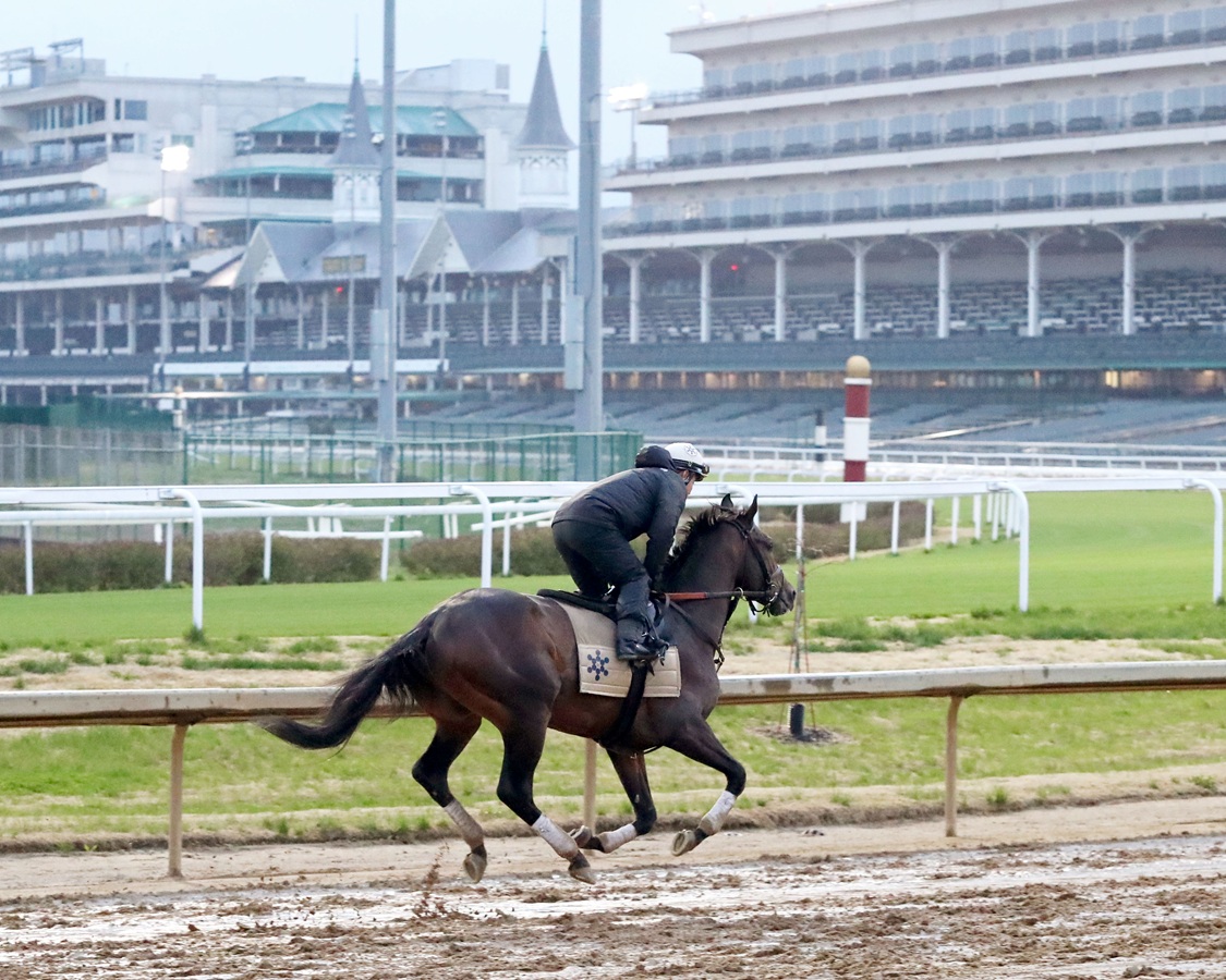 Los últimos movimientos de los 20 potros aspirantes al Kentucky Derby ...