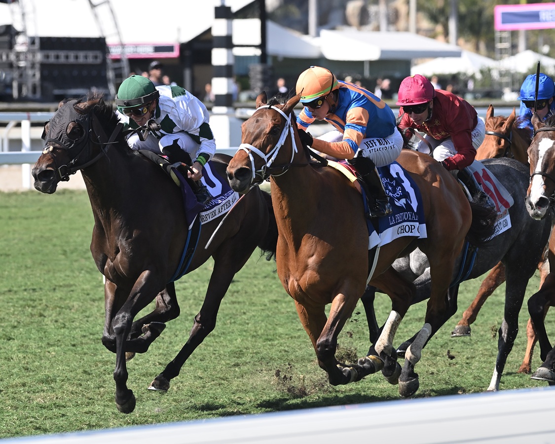 Forever After All a la conquista de la milla y media del Bewitch G3 | DRF en Español