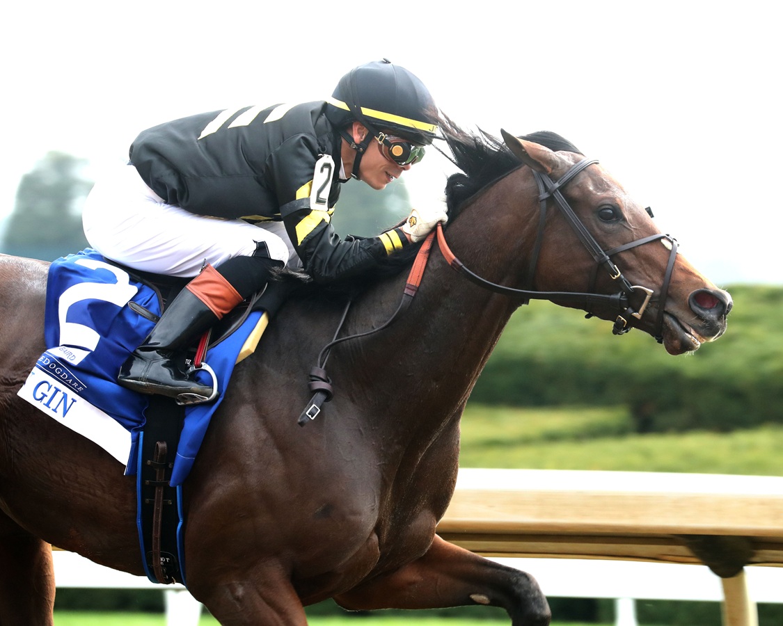 Gin Gin con 38-1 salió airosa en el Doubledogdare G3 | DRF en Español