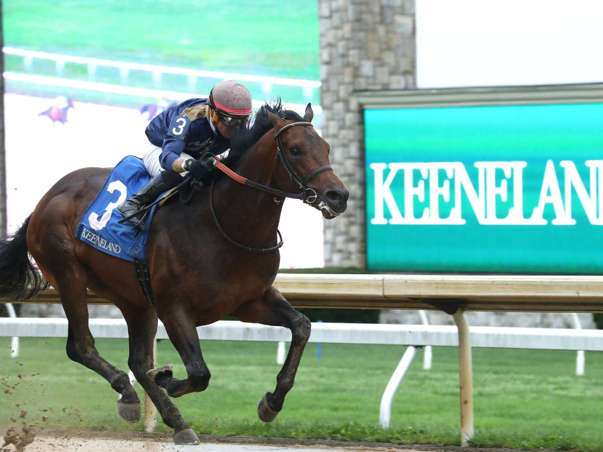 Normandy Coast voló sobre pista mojada para ganar el Palisades Stakes ...