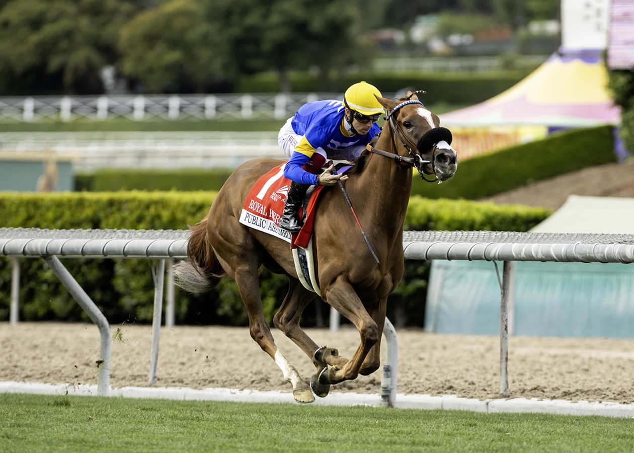 Public Assembly sorprendió con solvencia en el Royal Heroine G3T | DRF ...