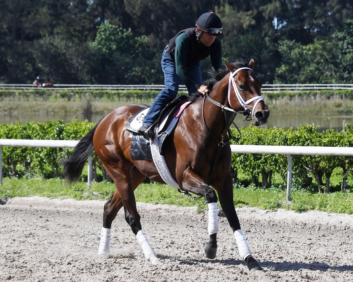 Cambios de última hora para el Kentucky Derby | DRF en Español