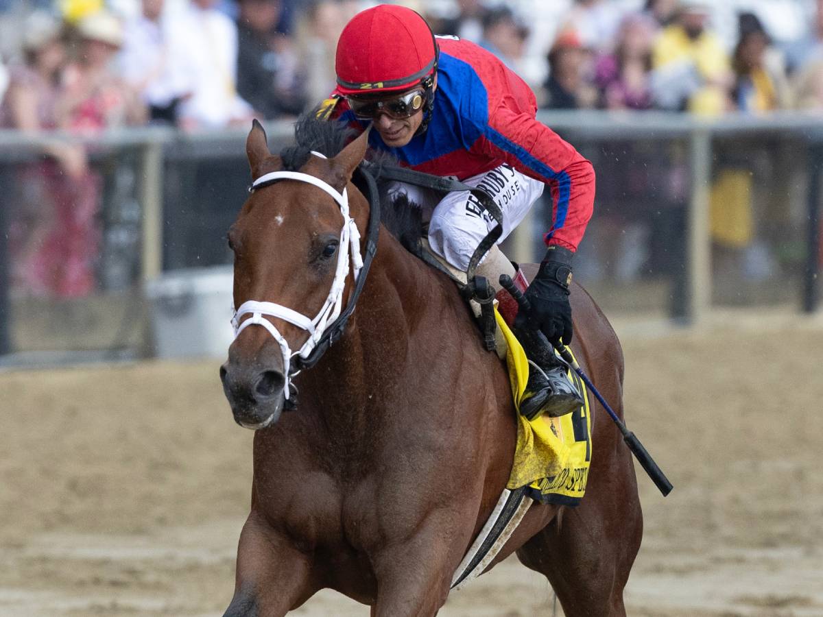 Awesome Aaron y John Velázquez: Imparables en el Pimlico Special G3 ...