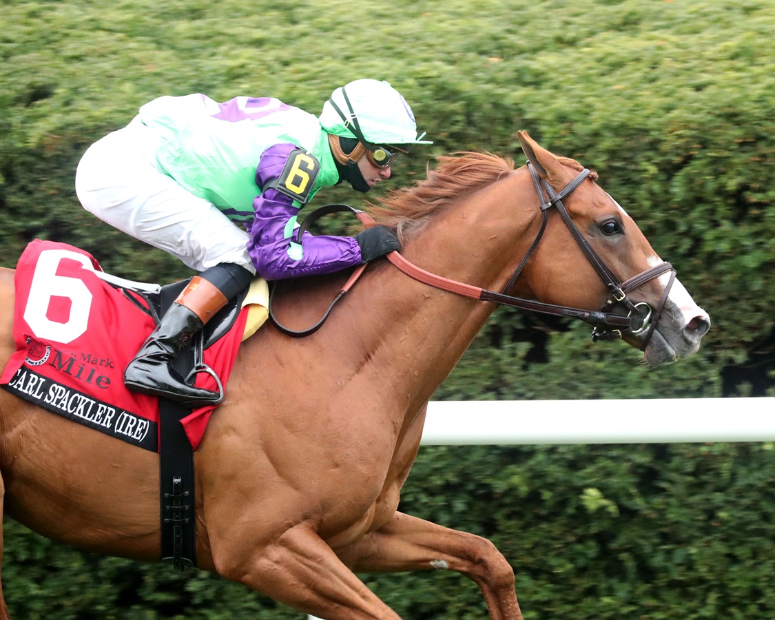 Las mejores cifras Beyer de la Temporada – Mayo 19 | DRF en Español