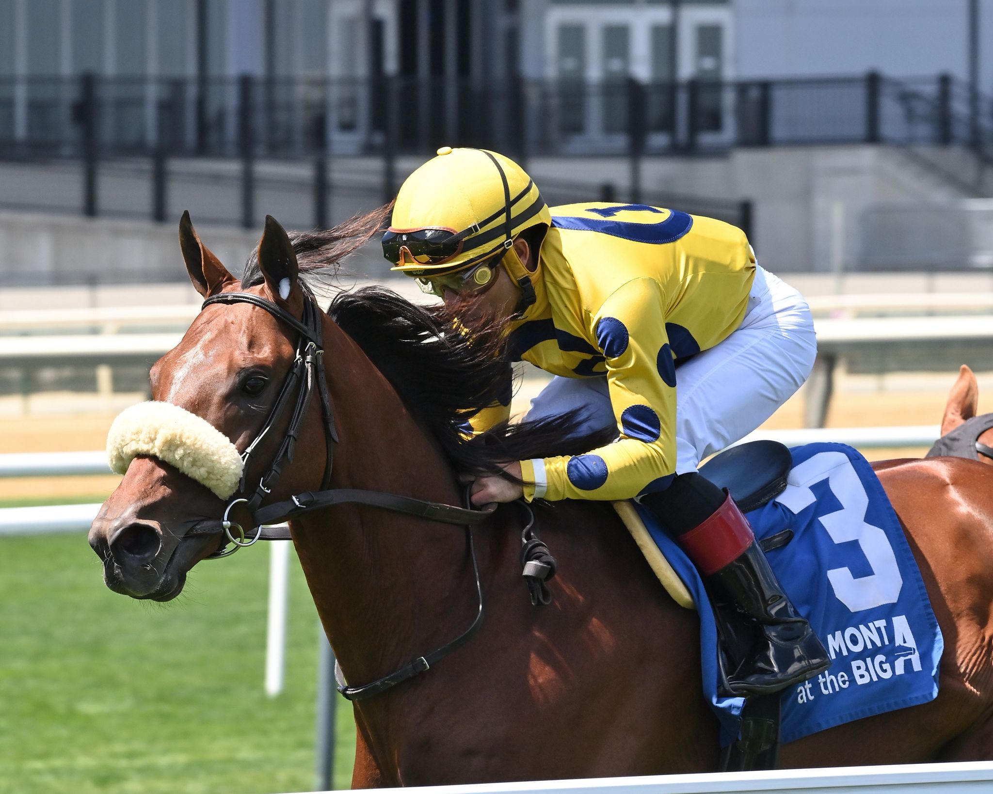 Far Bridge con Rosario se mostró dominante en el Man o’War G2T | DRF en ...