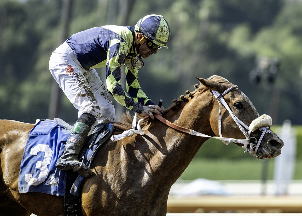 Impresionante triunfo de Om N Joy en el Melair Stakes | DRF en Español