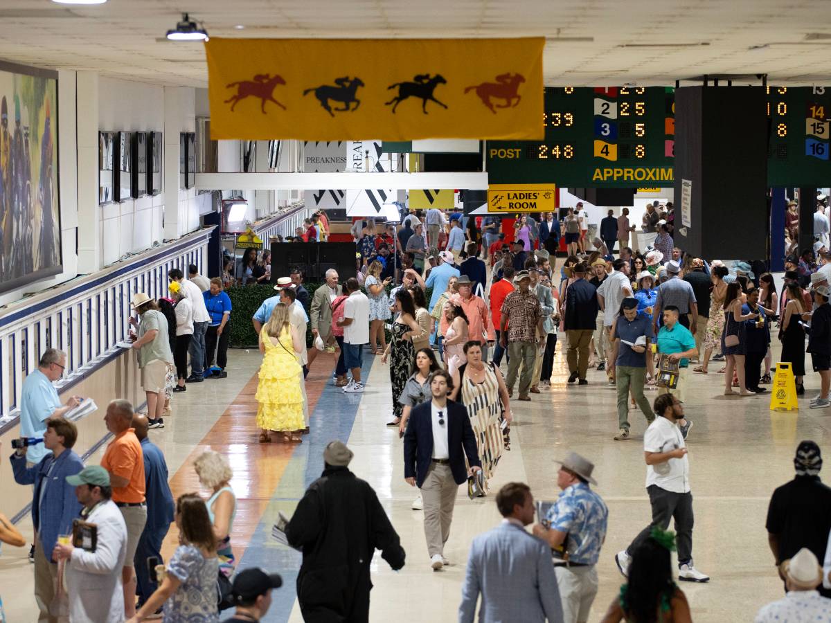 ¿Sabes cuánto se apostó en el Preakness Stakes 2025? | DRF en Español