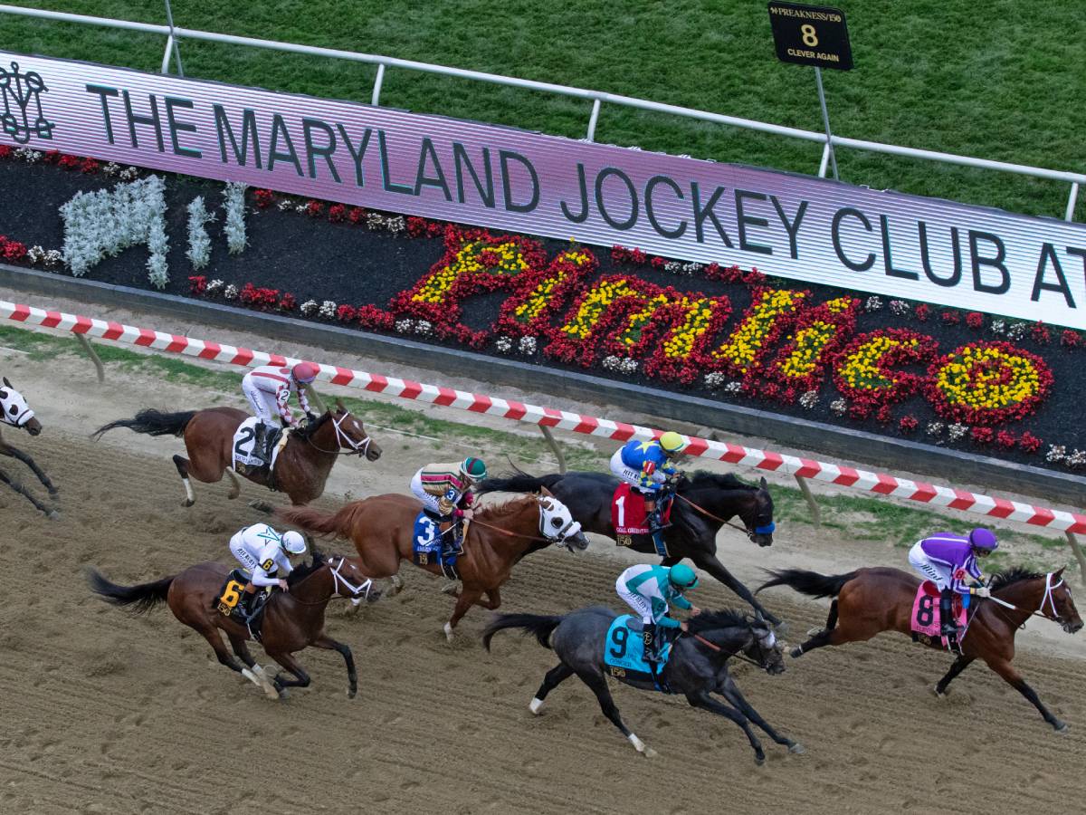 Los tips para usar el DRF Formulator y más en La Referencia | DRF en ...