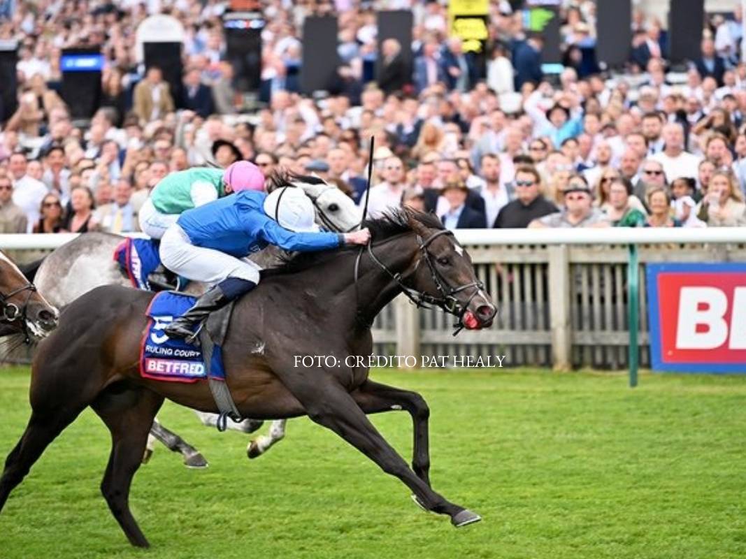 Ruling Court, Godolphin y la sangre de Justify conquistan las 2000 ...