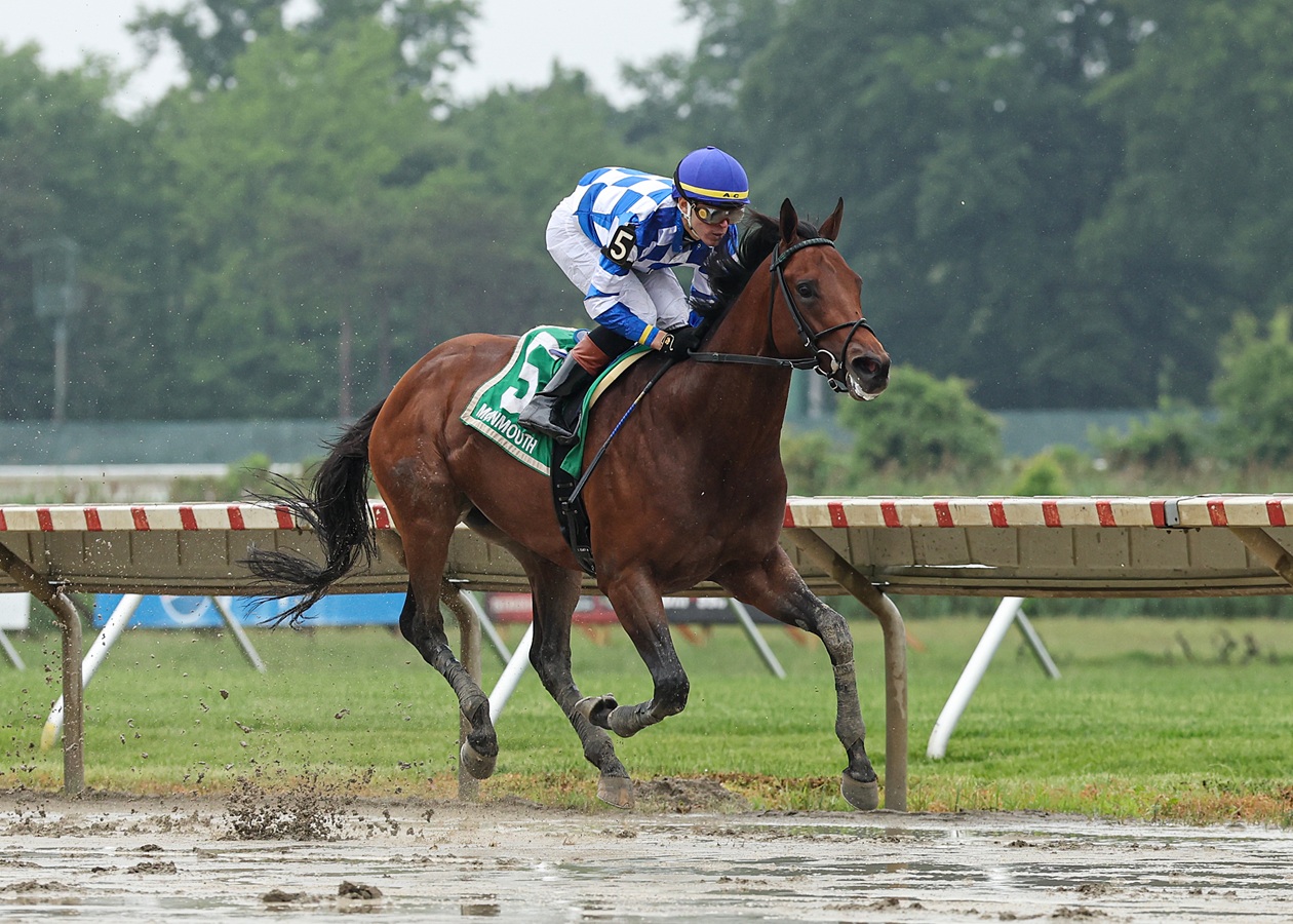 Bracket Buster impresionante en el Pegasus Stakes | DRF en Español