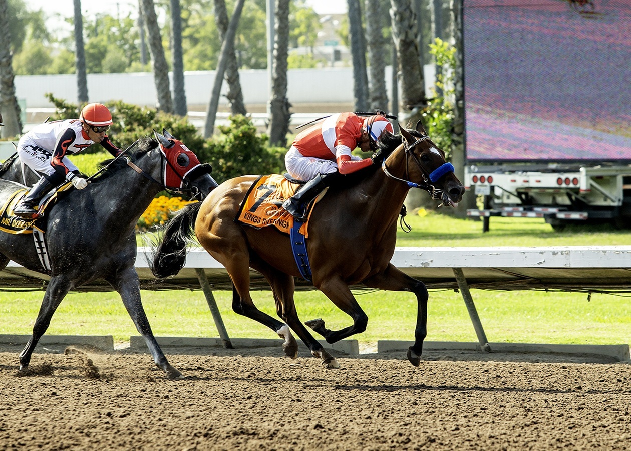 Kings River Knight: El Rey del Bertrando Stakes | DRF en Español