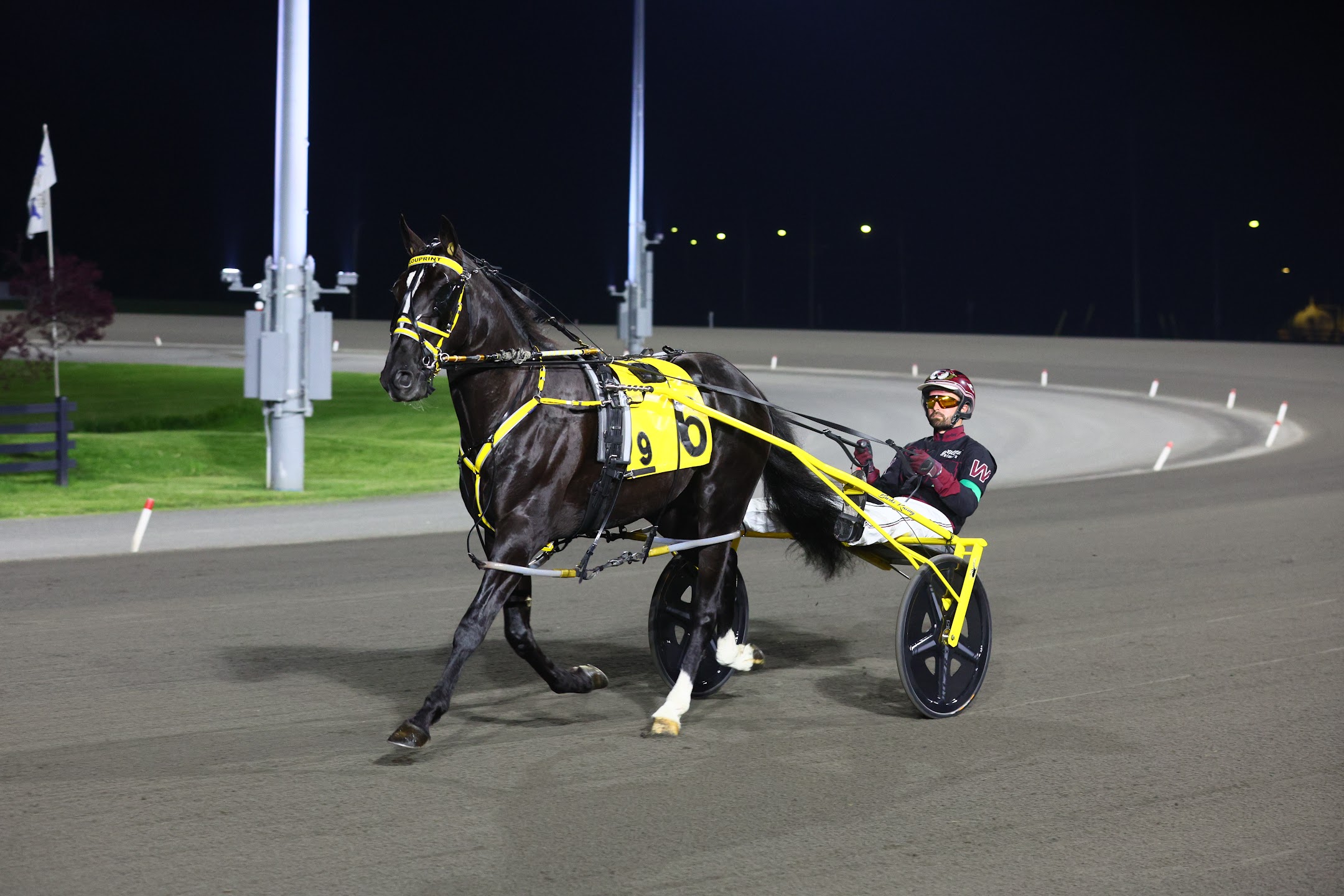 Todo listo para la North America Cup de $1,000,000 | DRF en Español