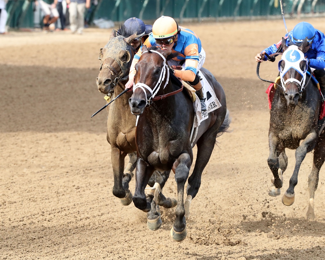 Mindframe dictó cátedra en el millonario Stephen Foster G1 | DRF en Español