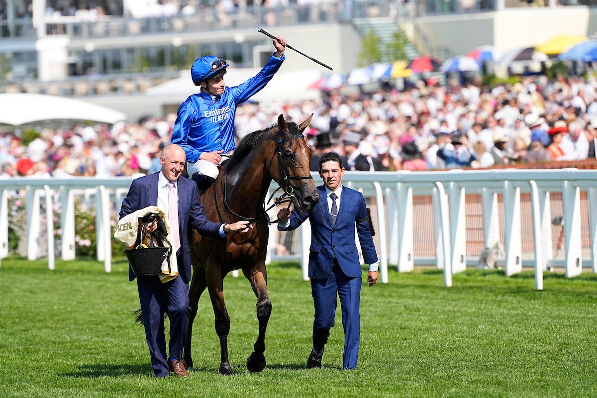 Trawlerman brindó un espectáculo que vale oro en la Gold Cup G1 | DRF en Español