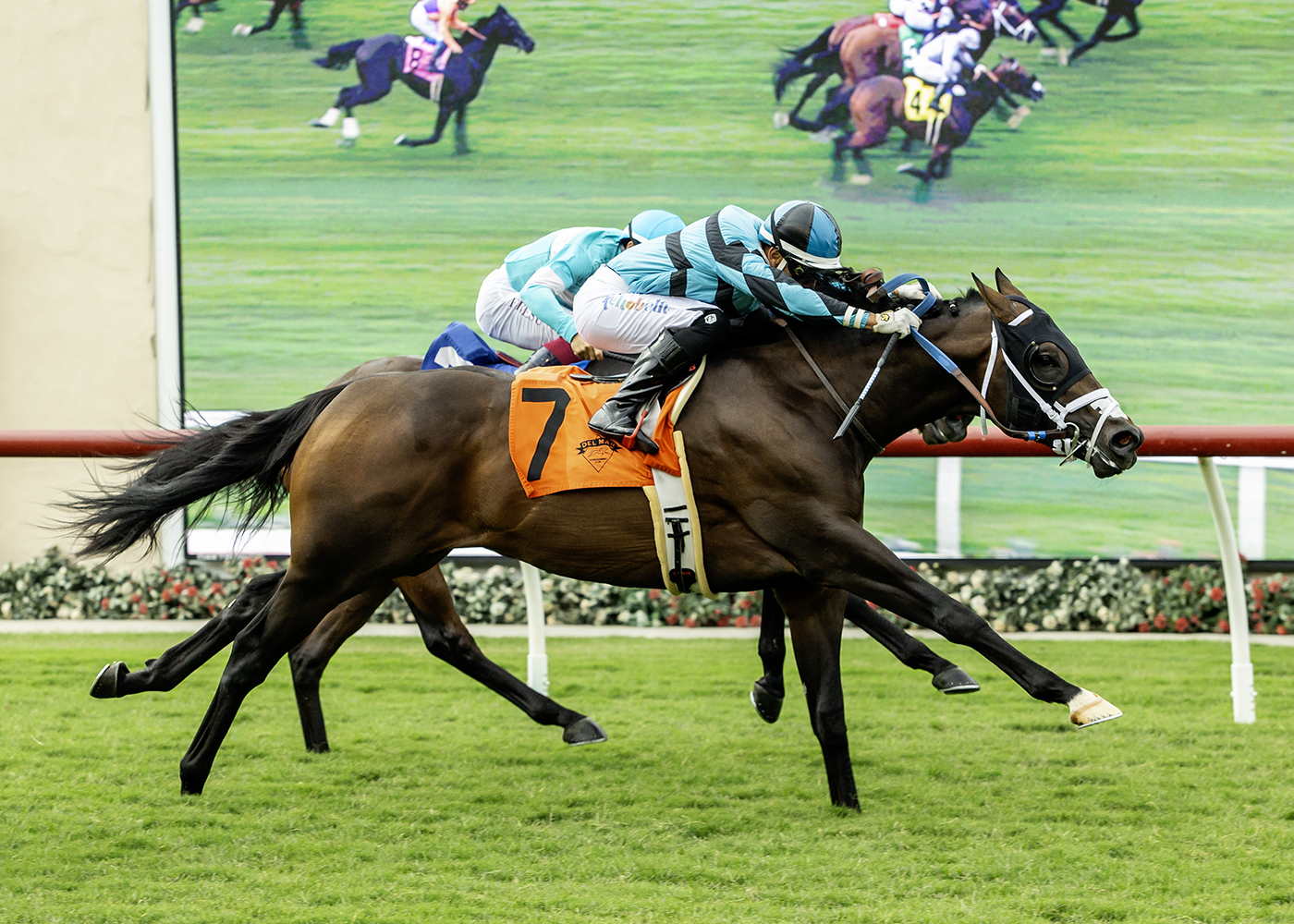 Game Warrior sacó la mejor parte en el Oceanside Stakes | DRF en Español