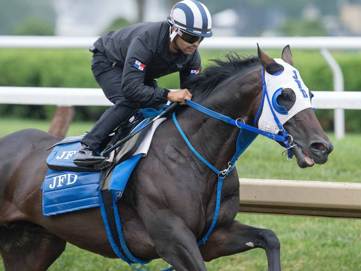 Las "balas" de Jose Francisco D'Angelo llegaron a Saratoga | DRF en Español