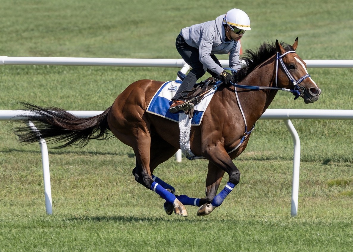 Mystik Dan va por el Arlington Million G1T en el césped este sábado ...