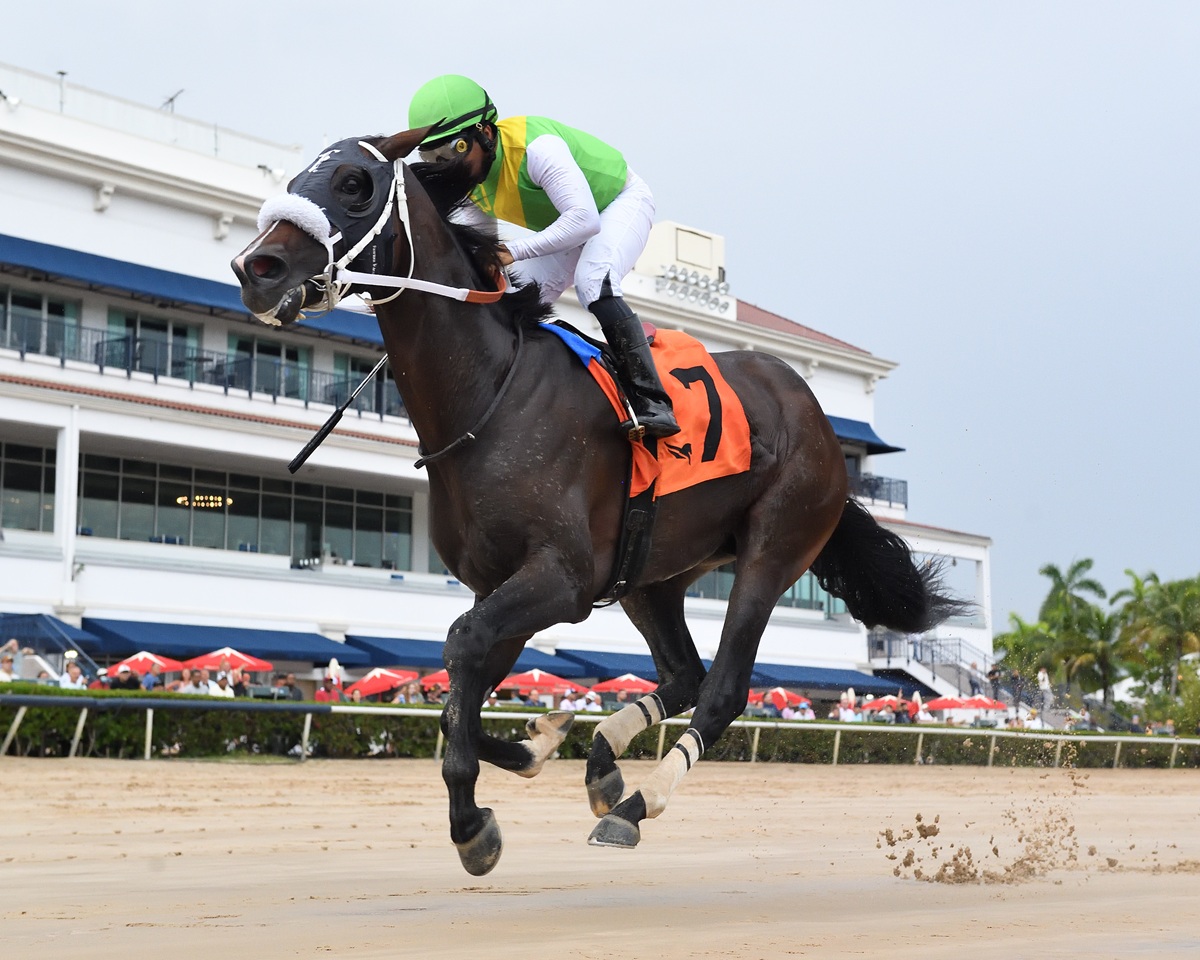 Shaq Diesel a toda máquina gana el Benny The Bull Handicap | DRF en Español