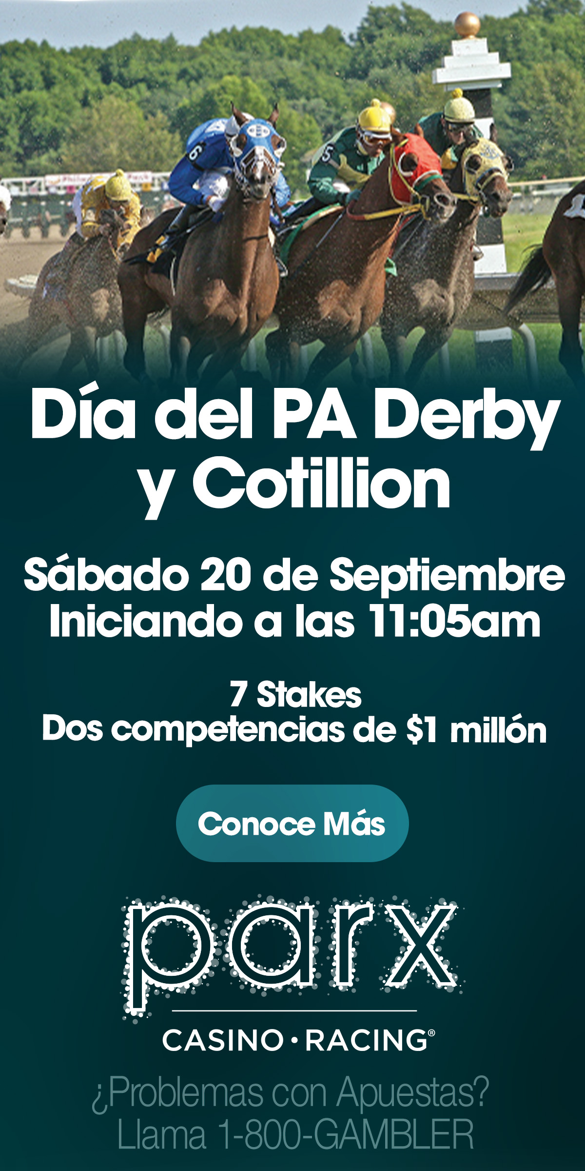 Programas de Carreras "PP's" Gratis | DRF en Español