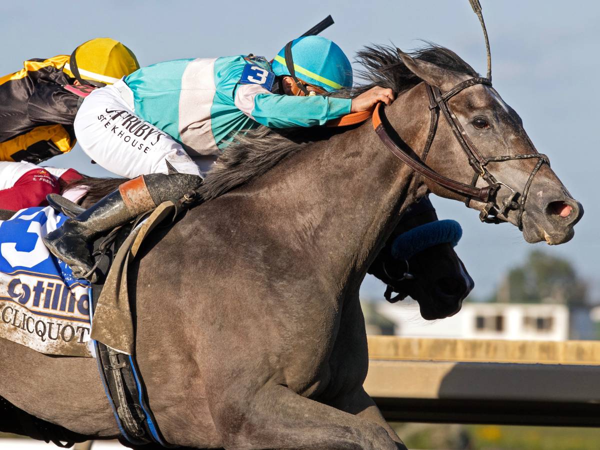 Clicquot con Irad Ortiz Jr. estuvo apoteósica en el Cotillion G1 | DRF ...