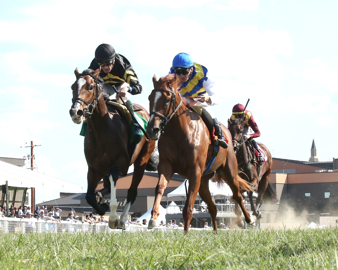 La Dueling Grounds Oaks Invitational G3T le pondrá el punto final a ...