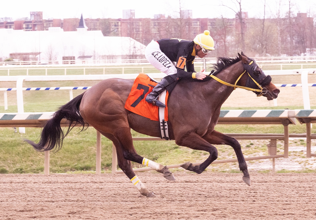 Laurel Park presenta el Turf Festival de 2025 | DRF en Español