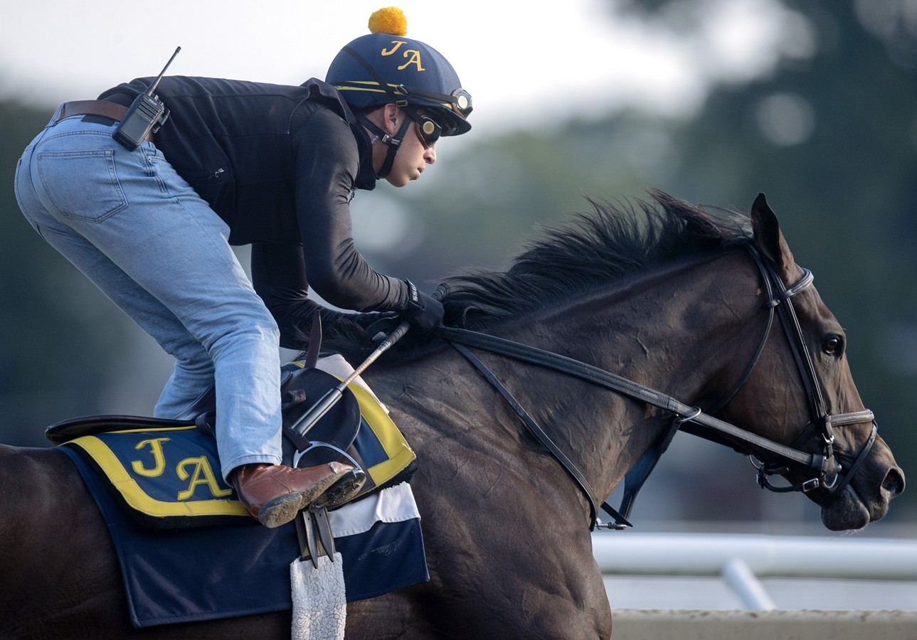 Scottish Lassie contra Good Cheer y La Cara en el Cotillion G1 | DRF en ...