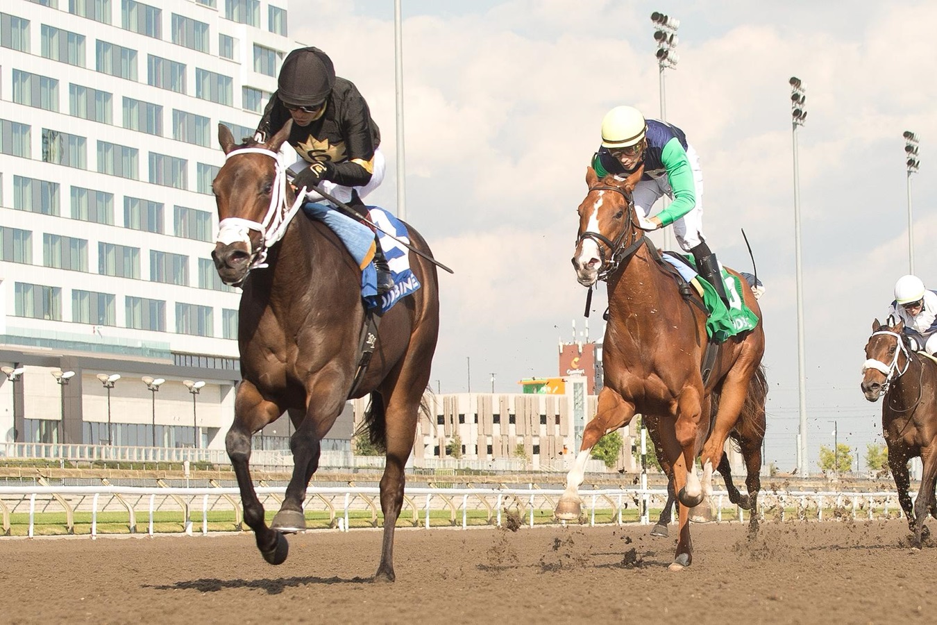 Souper Diva firme y triunfante en el Victorian Queen Stakes | DRF en ...