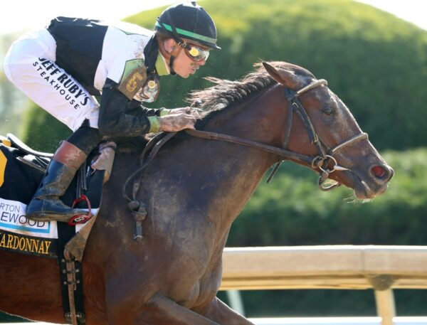 Mejorando como el buen vino, A Fine Chardonnay gana el Myrtlewood ...