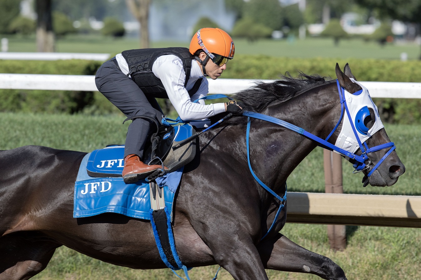 Un 25% de Bentornato será ofrecido en la subasta de Keeneland ...