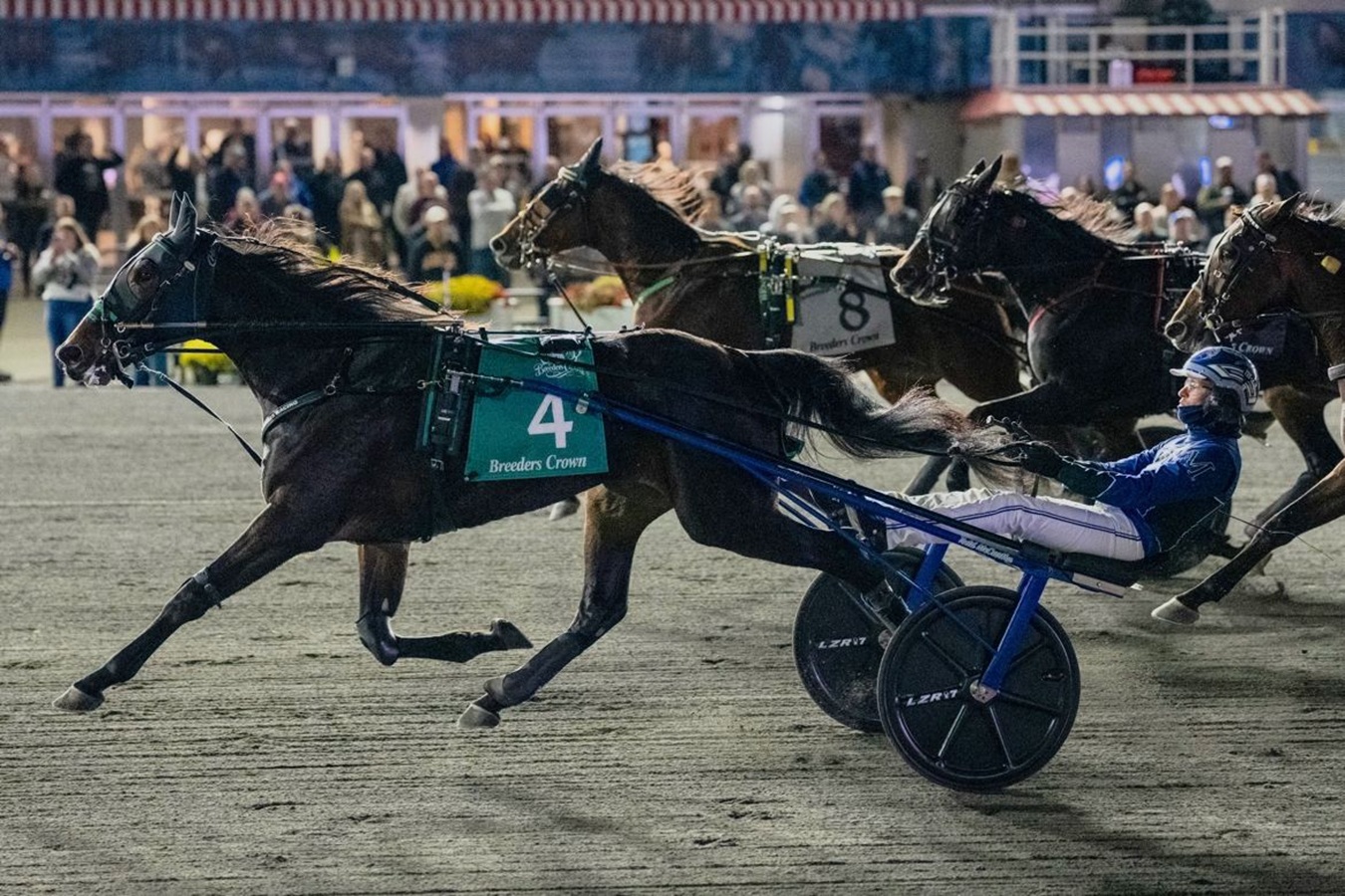 Los triunfadores de las Breeders' Crown 2025 en Mohawk Park | DRF en ...