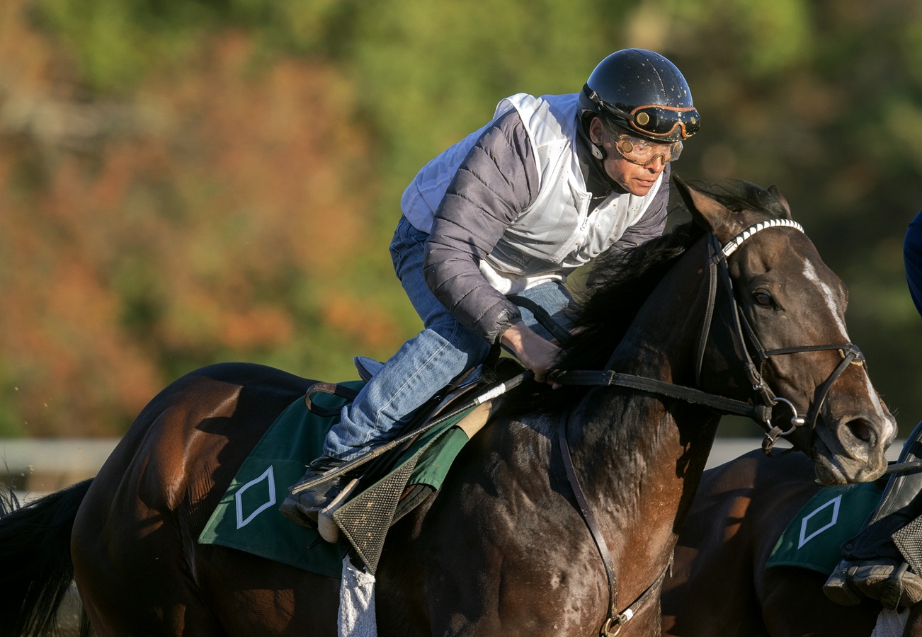 Perfiles de la Breeders' Cup Classic: Sovereignty | DRF en Español