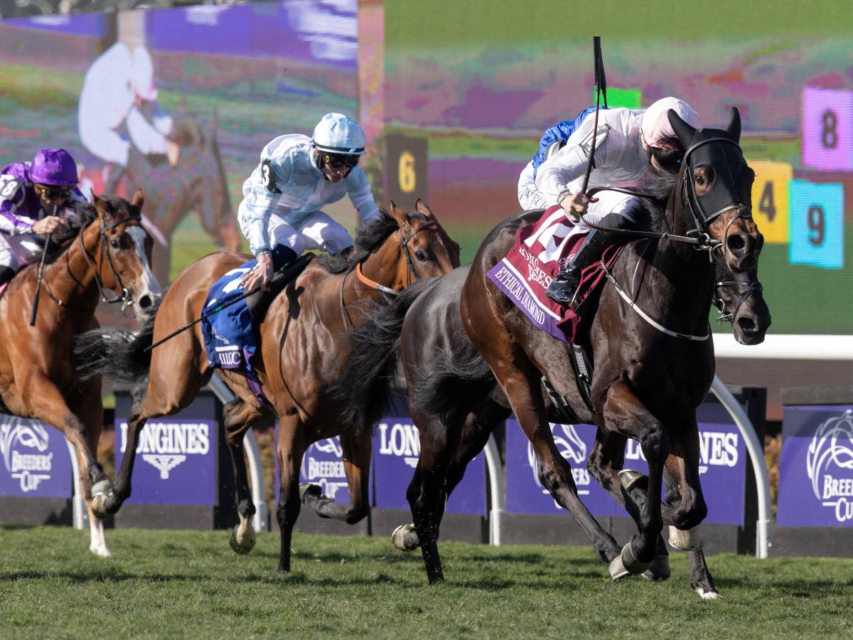 Ethical Diamond deslumbrante en la Longines Breeders' Cup Turf | DRF en ...