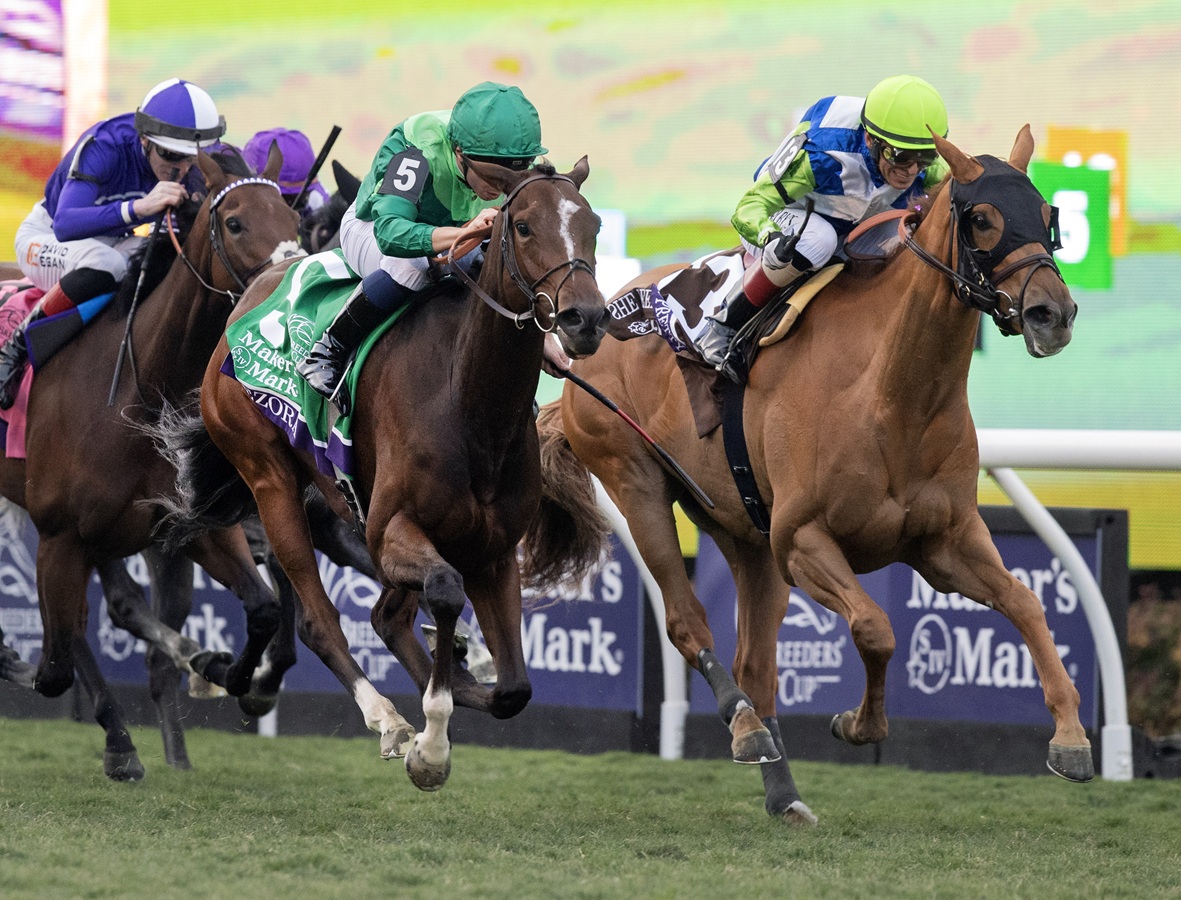 Gezora llegó a tiempo en la Maker's Mile Filly & Mare Turf | DRF en Español