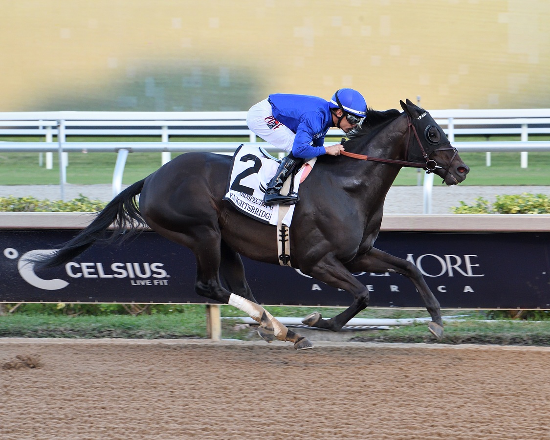 El Mr. Prospector G3 fue pan comido para Knightsbridge | DRF en Español