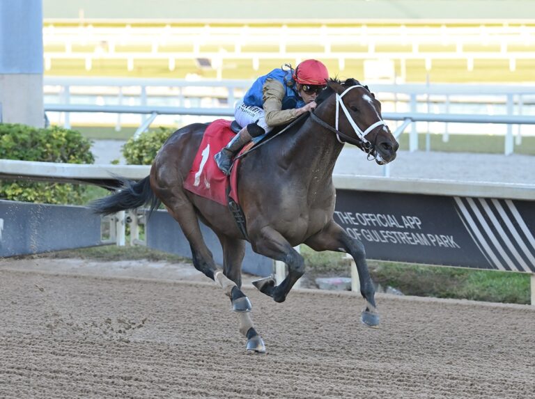 Commandment fue mucho para sus rivales Mucho Macho Man Stakes | DRF en ...