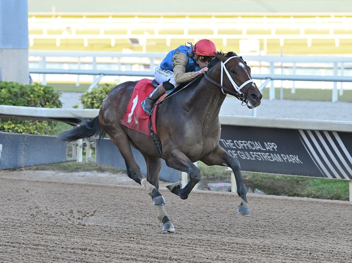 Commandment fue mucho para sus rivales Mucho Macho Man Stakes | DRF en ...