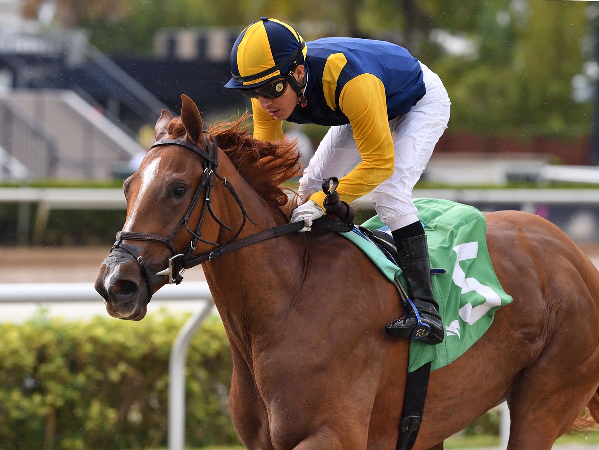 Los dúos más efectivos en el Championship Meet 2025-26 | DRF en Español