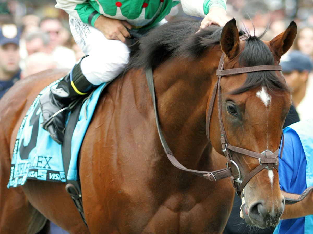 El doblecoronado Afleet Alex fue sacrificado a los 24 años | DRF en Español