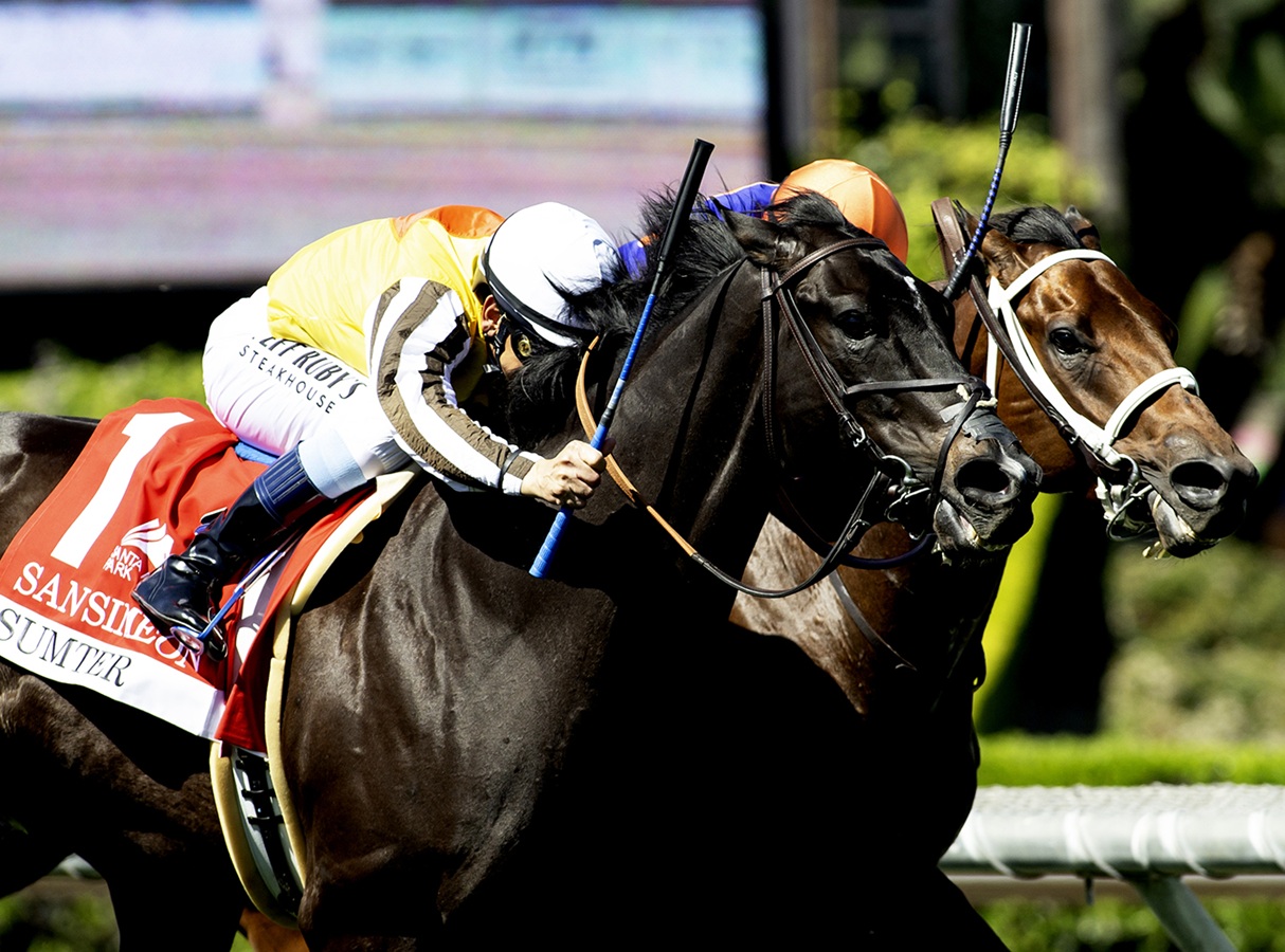 Sumter con Mike Smith entre dos alcanza el San Simeon G3T | DRF en Español
